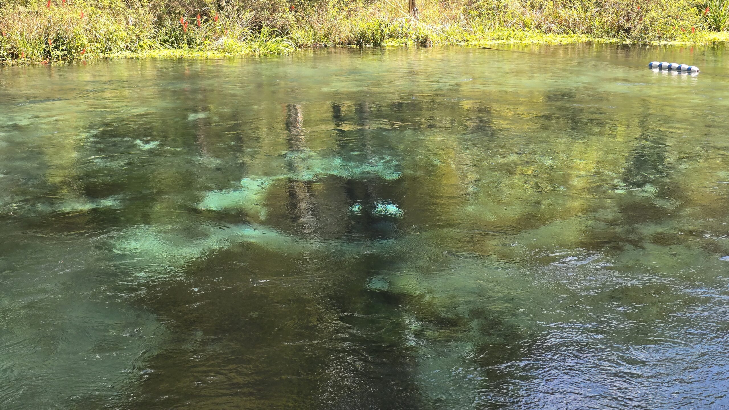 Ichetucknee Spring State Park